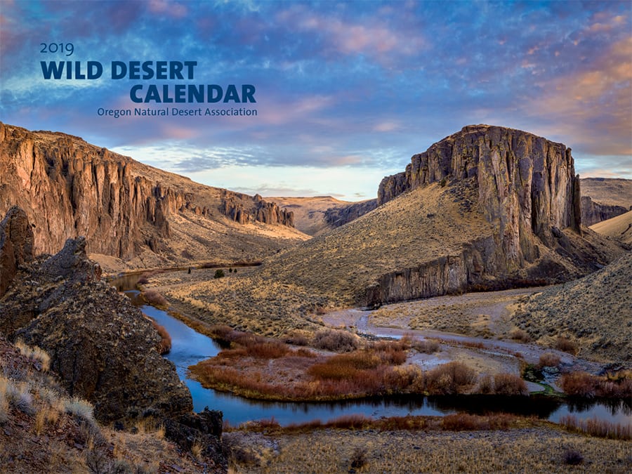 2019 Wild Desert Calendar Release Party | The Environmental Center