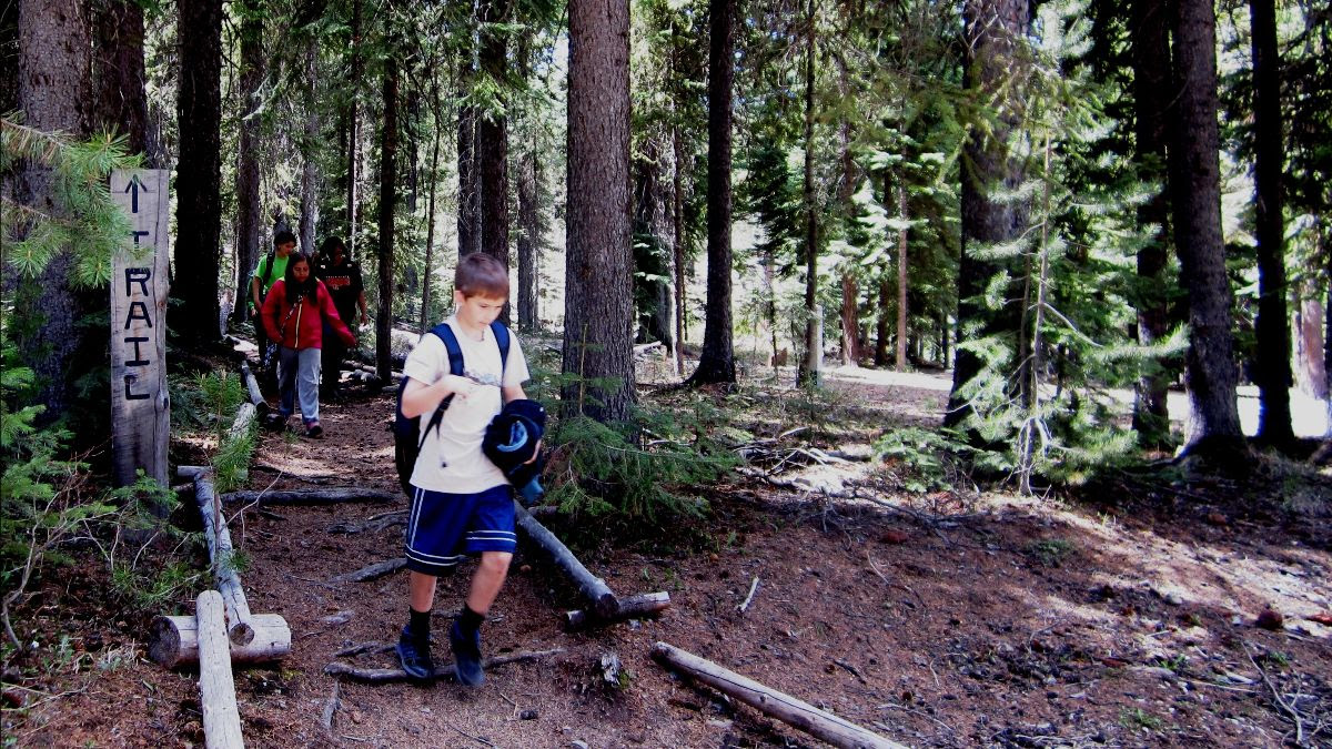 Forest Explorers Summer Camp | The Environmental Center