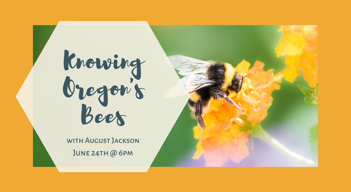Webcast: Knowing Oregon's Bees | The Environmental Center