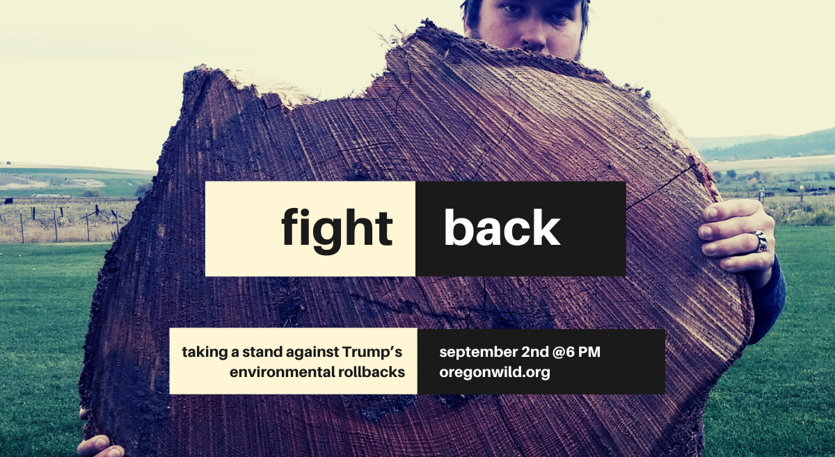 Fight back | The Environmental Center