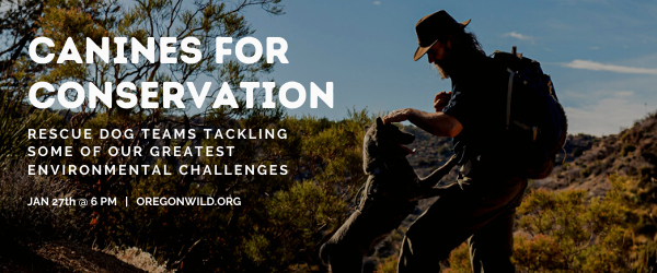 Webcast: Canines for Conservation | The Environmental Center