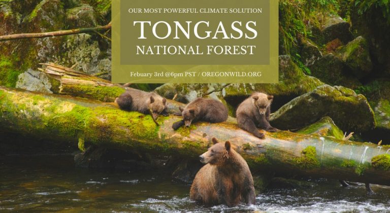 Tongass National Forest: Our Most Powerful Natural Climate Solution ...