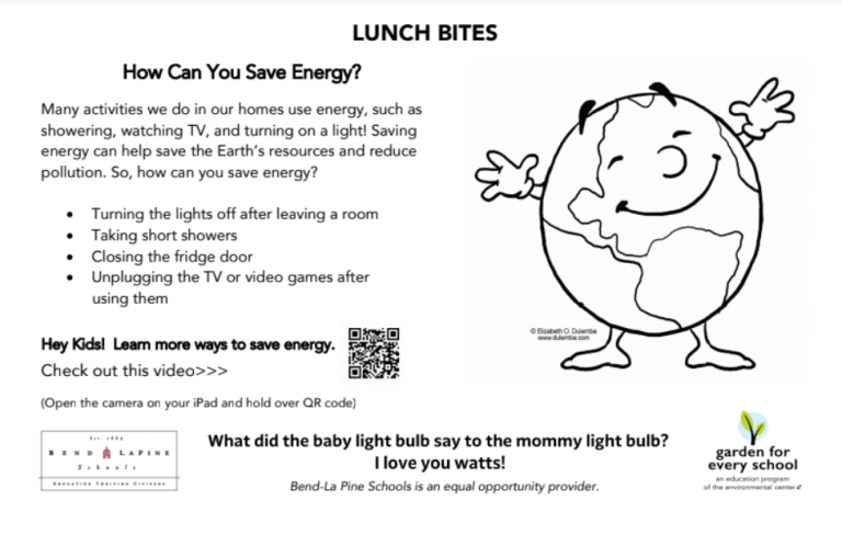 Teaching Reusable Habits: Saving Energy | The Environmental Center