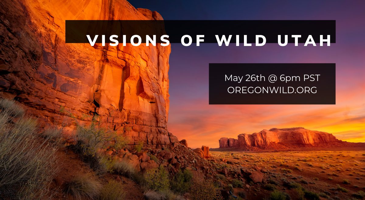 Webcast: Visions of Wild Utah | The Environmental Center