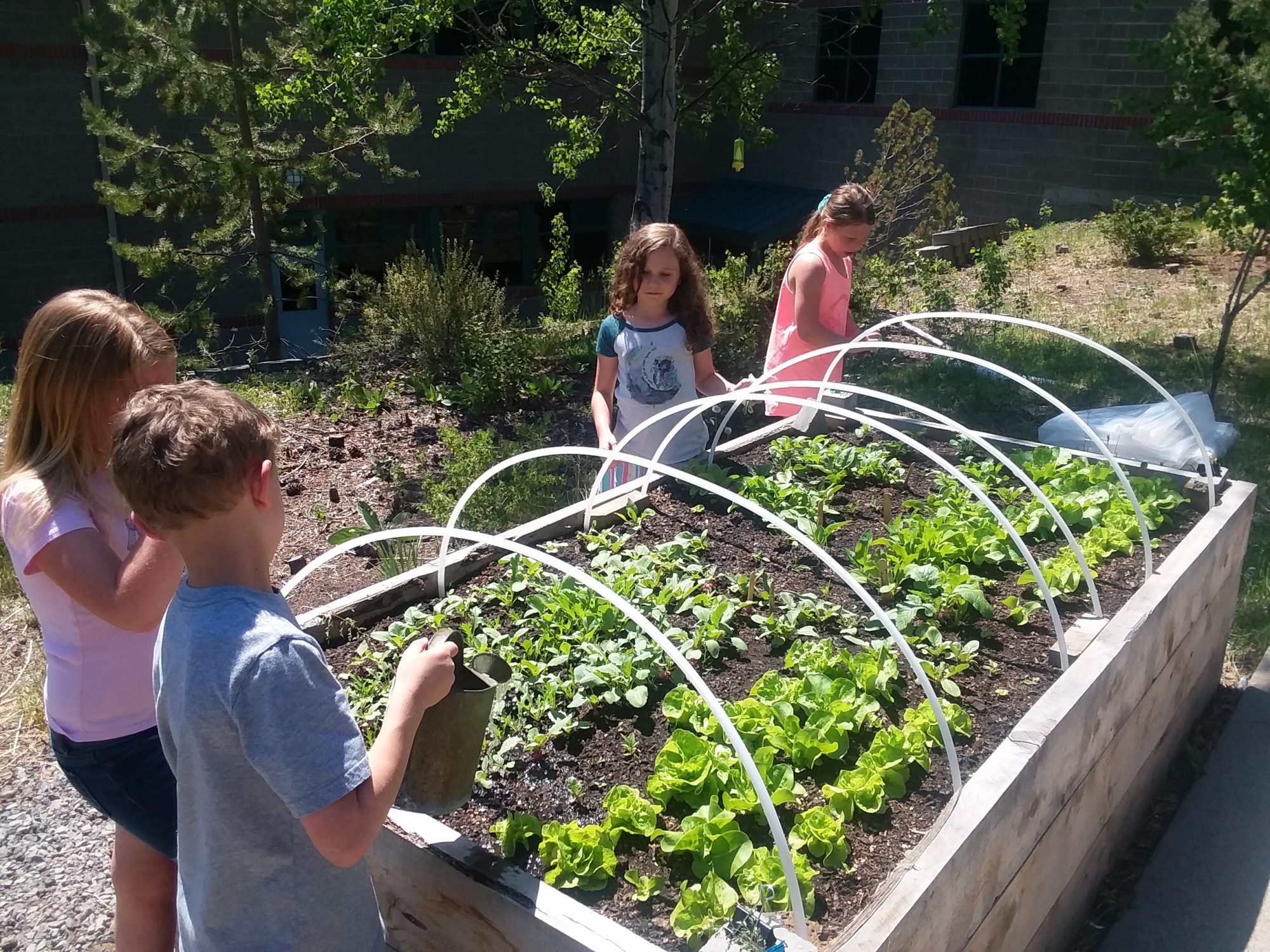 Garden Grant Funded Outdoor and Garden Classrooms | The Environmental ...