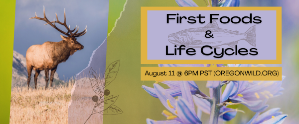 Webcast: First Foods and Life Cycles | The Environmental Center