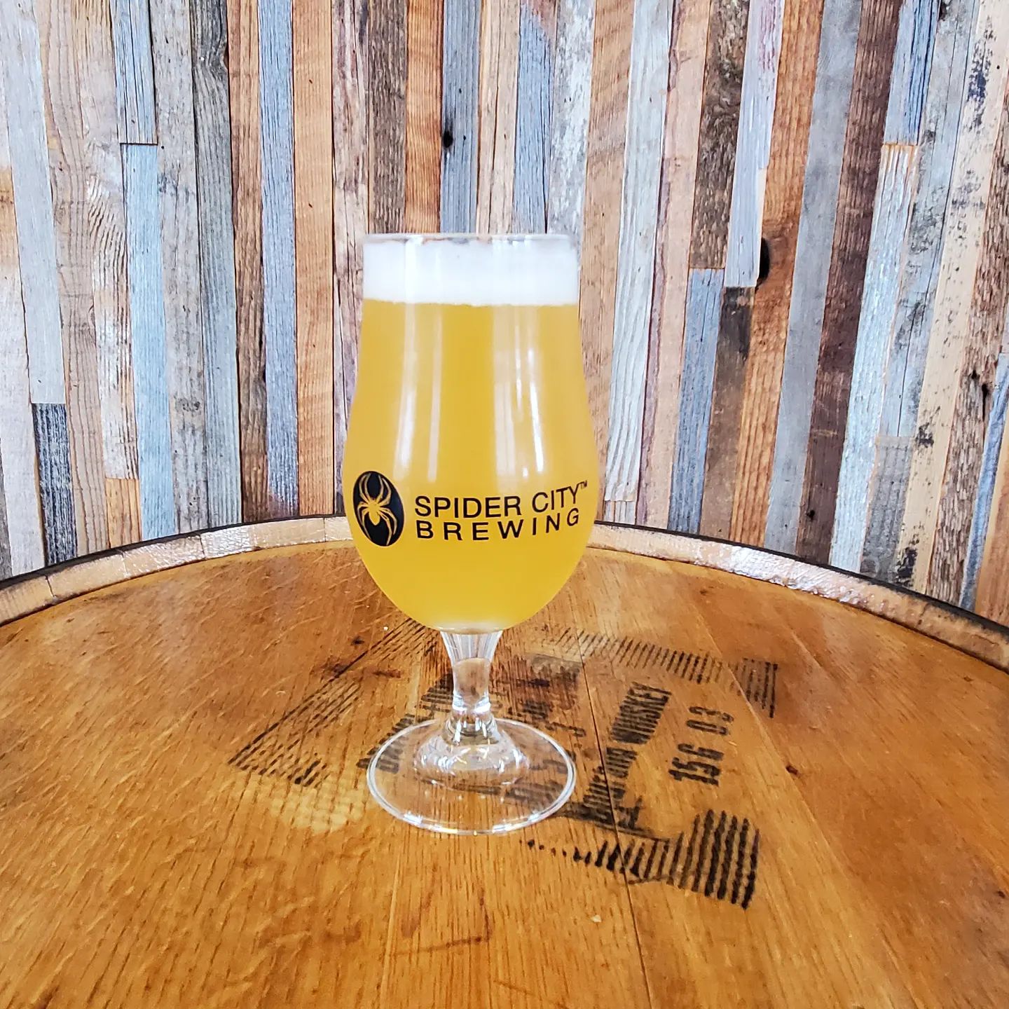 Rethink Waste Announces 2022 Community Innovation Fund Recipients | The ...