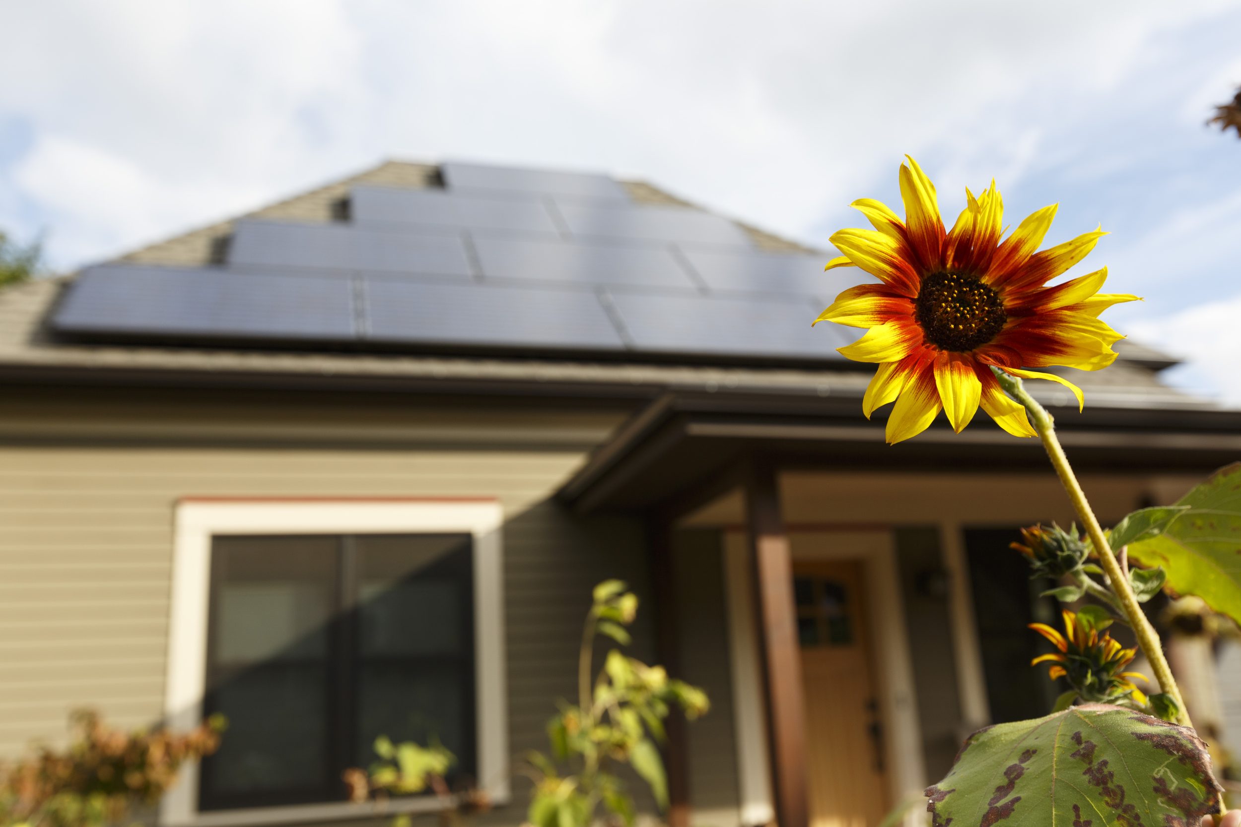 Solarize Deschutes, a Community-Driven Campaign Offers Discounted Solar ...