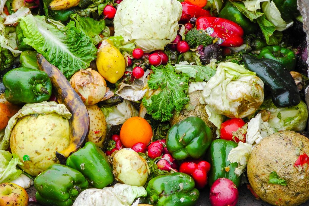 1 - food waste photo vegetative | The Environmental Center
