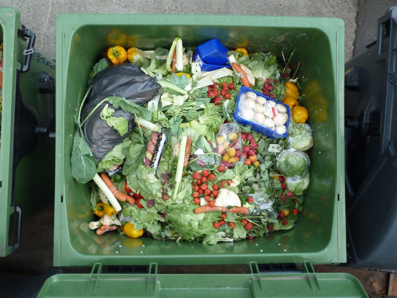 Composting | The Environmental Center